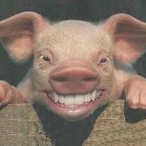 Stream El Marrano by José Julio Suárez | Listen online for free on ...