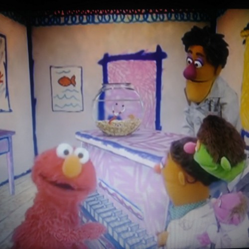 Listen to Elmo's World: The Doctors Song (Autotune Remix) by Elmo's ...