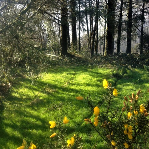 Stream episode Challenges of Our Time - a talk given by Eric.K.Fairman ...