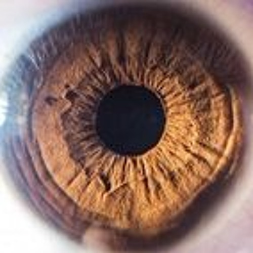 Stream Misho - Heqiatner Bajanoghy Միշո - Հեքիաթներ Բաժանողը by BMW ...