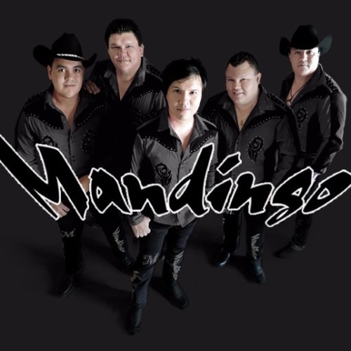 Stream Wilson Ismael Rojas | Listen to mandingo playlist online for ...