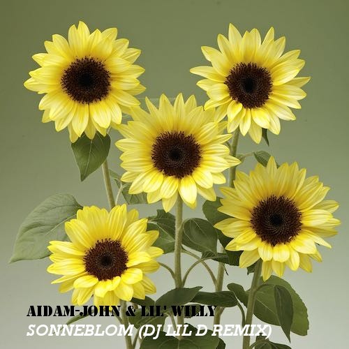Stream Sonneblom (DJ Lil D Remix) by Aidam-John & Lil' Willy | Listen ...