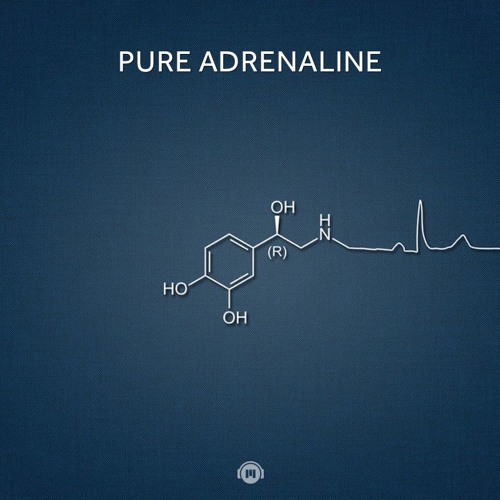 Stream MugaTunes | Listen to Workout Playlist - PURE ADRENALINE ...