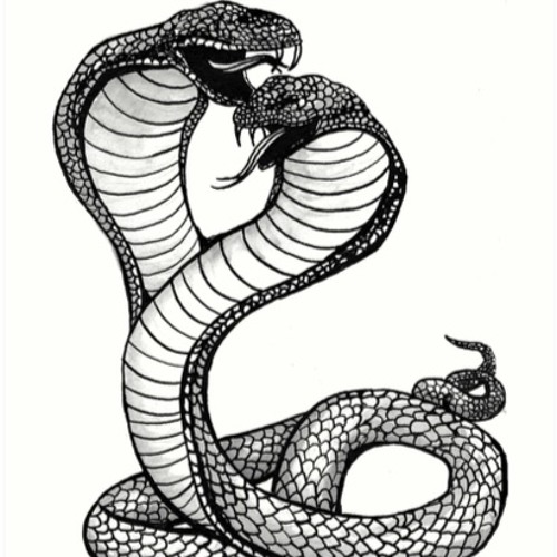 Two Headed Snake Drawing