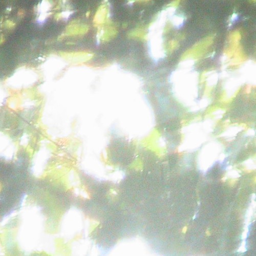 Stream The Great Mimic by bell-power | Listen online for free on SoundCloud