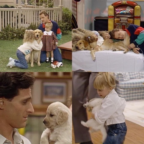 Stream Full House: S3E7: And They Call It Puppy Love by ...