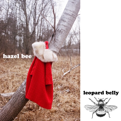 Stream Leopard Belly by Hazel Bee | Listen online for free on SoundCloud