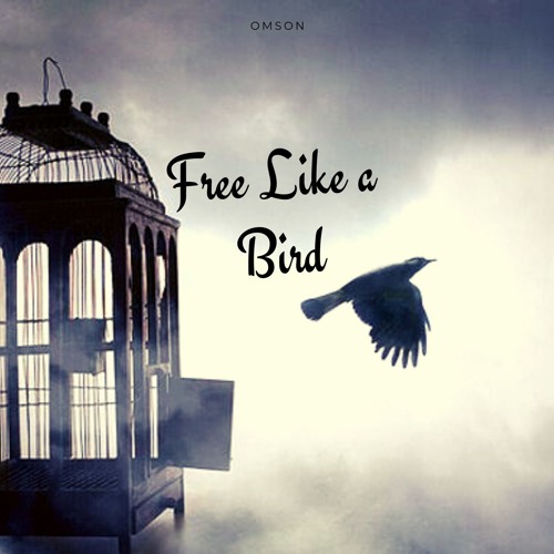 Free Fly Like A Bird