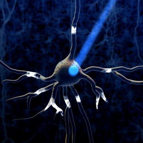 Stream Episode Scientists Say Optogenetics By Science News Explores Podcast Listen Online For