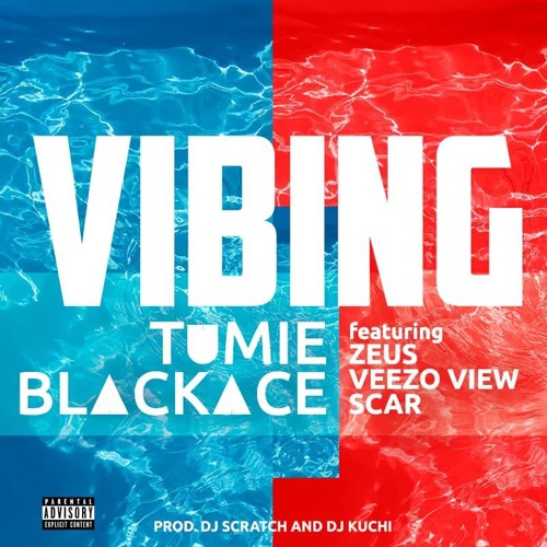 Stream Vibing ft Zeus, Scar and Veezo View (Prod Dj Scratch and Dj ...