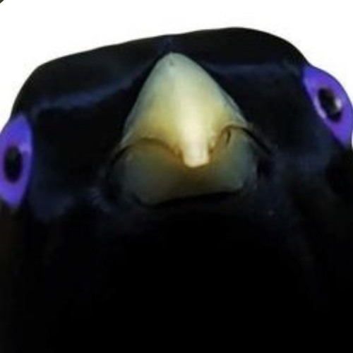 Stream Lemme Smash by SK33T GOOSII | Listen online for free on SoundCloud