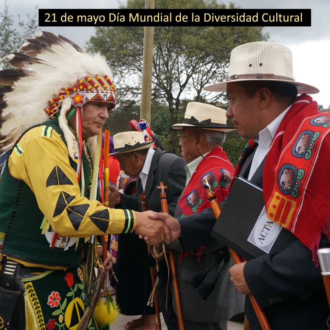 Stream Día Mundial de la Diversidad Cultural by Cultural Survival ...