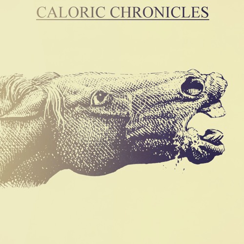Stream Hi Robert How Are You by Caloric Chronicles | Listen online for ...