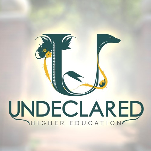 Stream Undeclared by Productions Productions Productions | Listen ...
