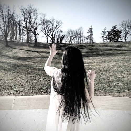 Stream The Protector (Warren Harrison) by Harrison Skydeck | Listen ...