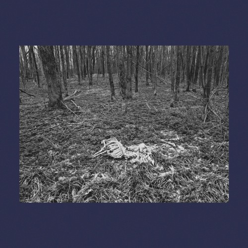 Stream sleight of hand by maya chun | Listen online for free on SoundCloud Stream sleight of hand by maya chun | Listen online for free on SoundCloud