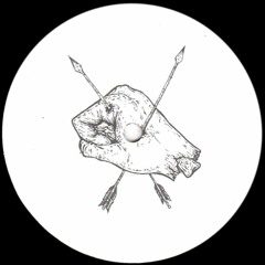 Hannah Palm's Instagram, Twitter & Facebook on IDCrawl