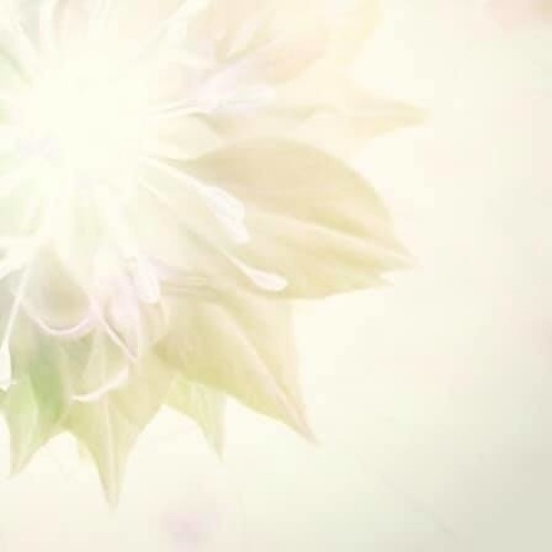 Stream soar by Shingo Sakai / syingonium | Listen online for free on ...