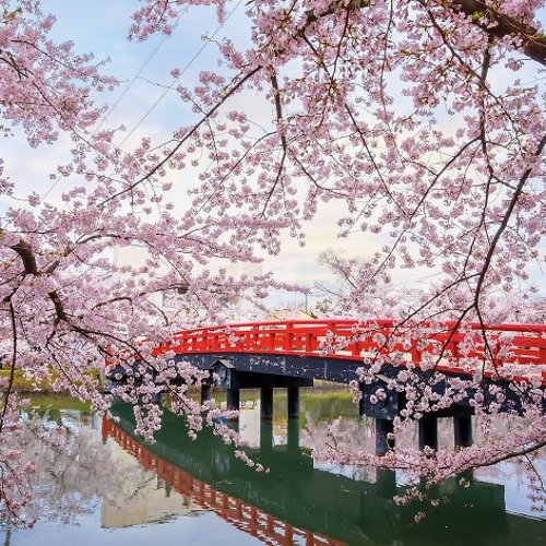 Stream SERHAT - PAS LOIN DE TOKYO by Serhat More | Listen online for ...