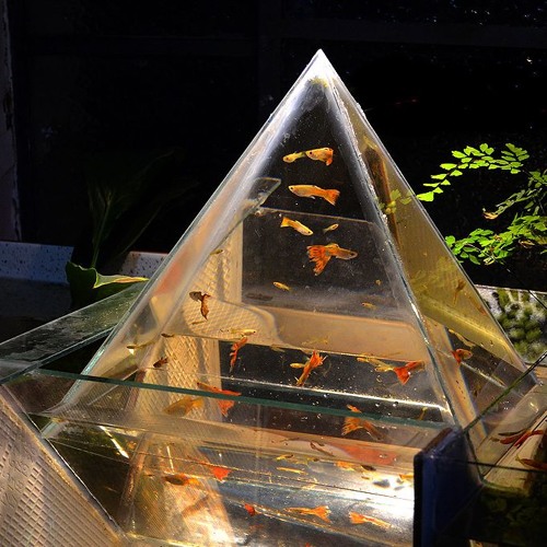 Stream "Egyptian Tank" - Pyramid Cave | Sonic Adventure 2 ...