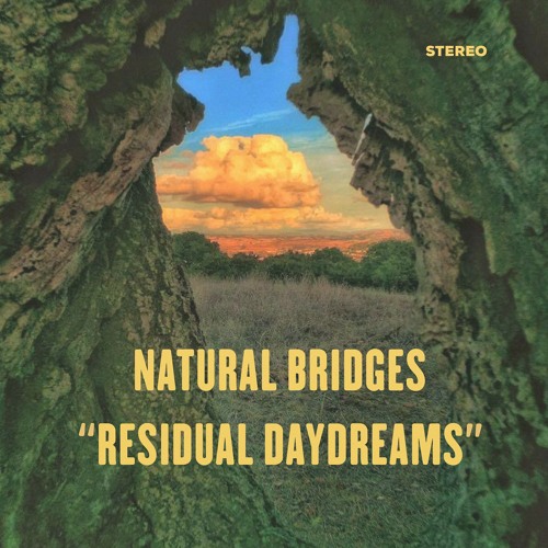 Stream Wildflowers by Royal Oakie Records LLC | Listen online for free ... Stream Wildflowers by Royal Oakie Records LLC | Listen online for free ...