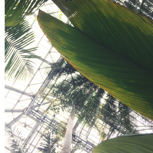 Stream Grandpa's Time Machine by Angela Baughman | Listen online for ...