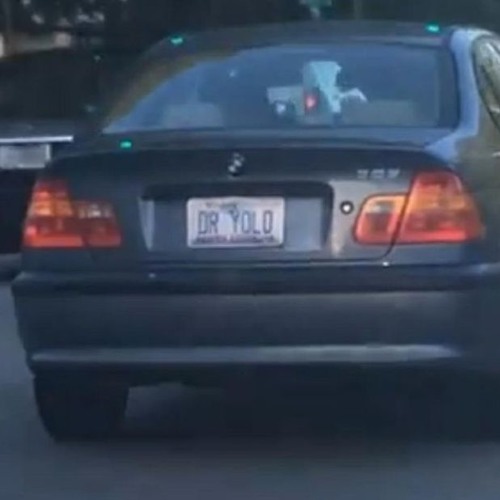 Stream Zack Kennedy | Listen to DR YOLO playlist online for free on ...