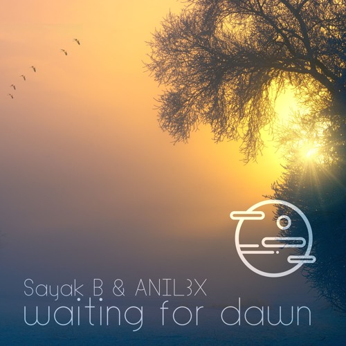 Stream Sayak B & ANIL3X - Waiting for Dawn by DopplerTown Records | Listen online for free on ...