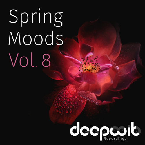 Stream Deephope - Smiling (Original Mix) / DeepWit Recordings by Deephope | Listen online for ...