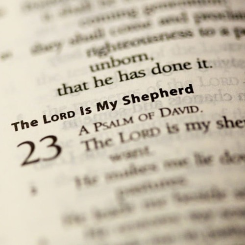 Stream Psalm 23 by Anglican Church Robina | Listen online for free on ...