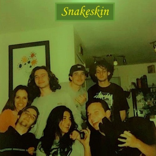 Stream Shaun Delaney - Snake Skin by Shauny Delight! | Listen online ...
