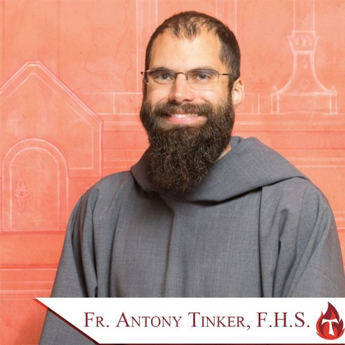 Stream Sunday Homily - Fr. Antony Tinker, F.H.S. - 12/2/18 by Become ...