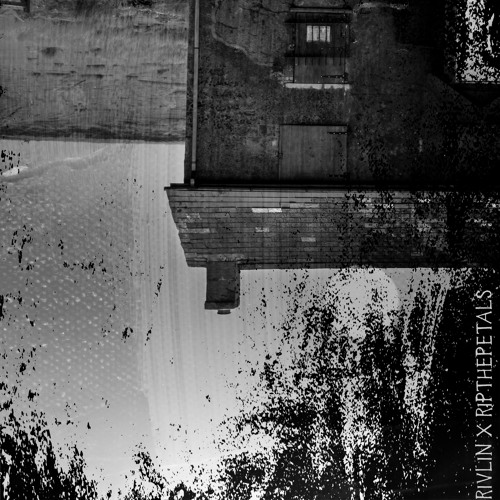 Stream Rivilin | Listen to Rivilin x RipThePetals - False hell playlist ...