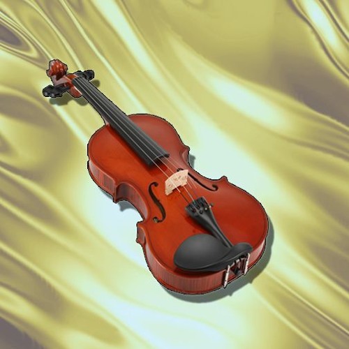 Clean Bandit Violinist