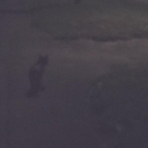 Stream his wife's hair by mage tears | Listen online for free on SoundCloud