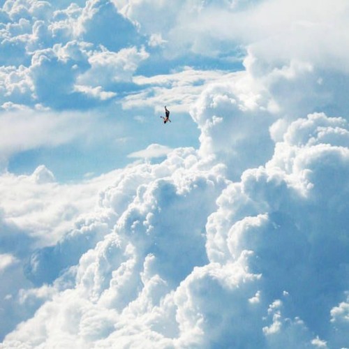 Stream Falling Through The Clouds by Z.QUINN | Listen online for free ...