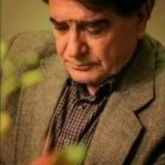 Amir Ghavam's Instagram, Twitter & Facebook on IDCrawl