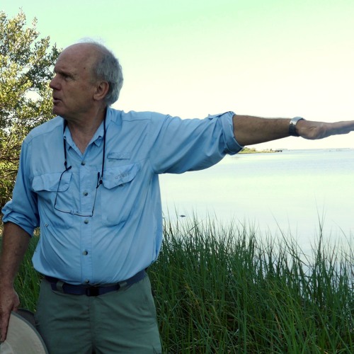 Stream episode Gulf Coast Ecosystems And Sea Level Rise With Jack Putz ...