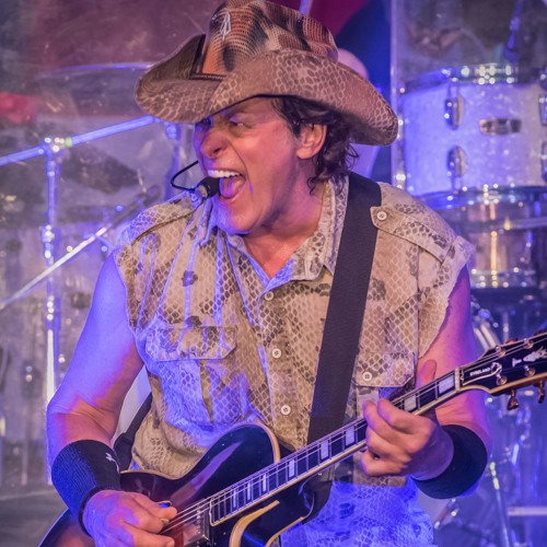 Stream Ted Nugent Joins Quinn's Afternoon Army by Shawn Quinn | Listen ...