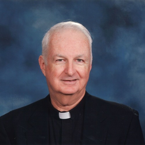 Stream Immaculate Conception | Listen to 2019 Homilies by Fr. John ...