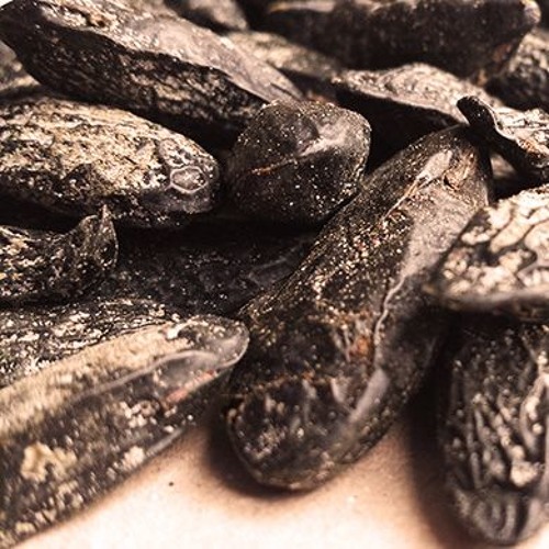 Stream Tonquin Beans by Beige Instinct | Listen online for free on ...