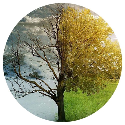 Stream Suburban Premiere : Callum Lawlor - Summer in Winter by Suburban ...