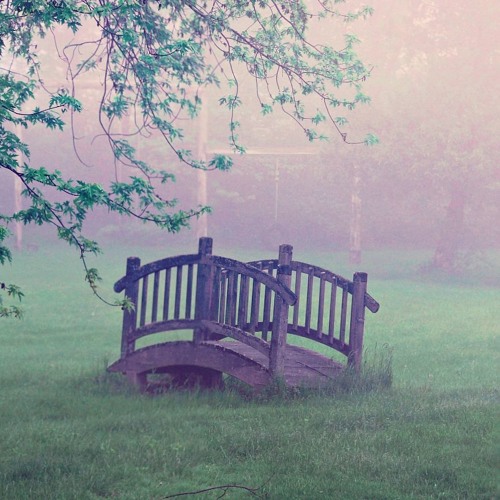 Stream Winter - Tori Amos - VOCAL COVER by Elizabeth | Listen online ...