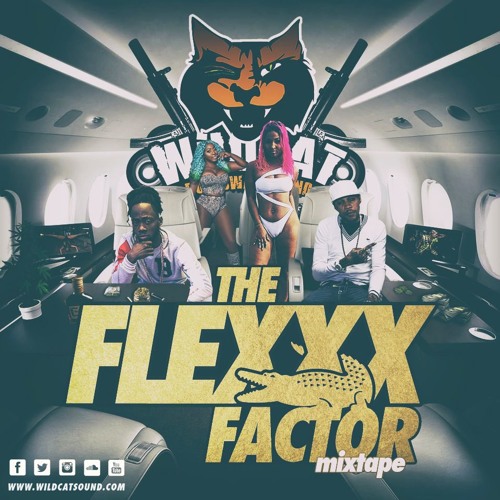 Stream WILDCAT SOUND - THE FLEXX FACTOR [2019 MIXTAPE FEAT VYBZ KARTEL ...