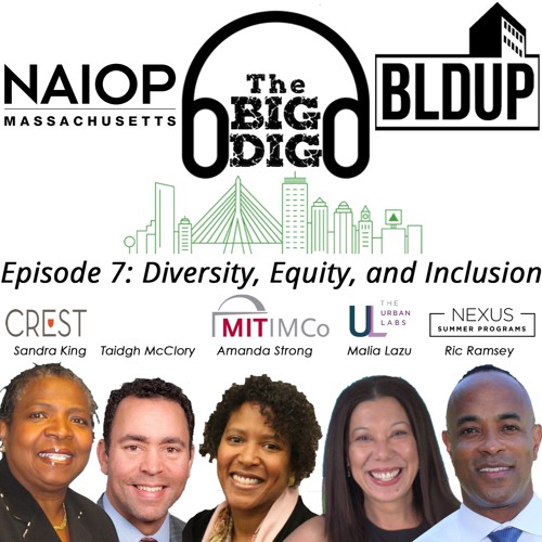 Stream episode Big Dig Podcast Episode 7 - Diversity, Equity, and ... Stream episode Big Dig Podcast Episode 7 - Diversity, Equity, and ...