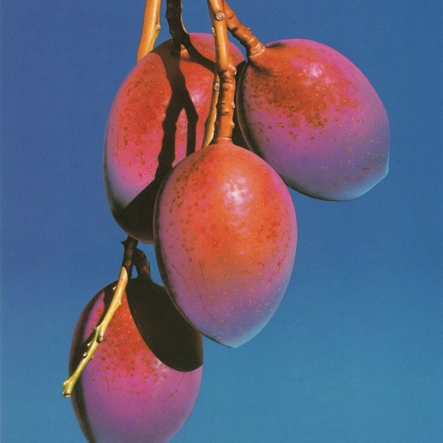 Stream Zéus | Listen to Mangoes playlist online for free on SoundCloud