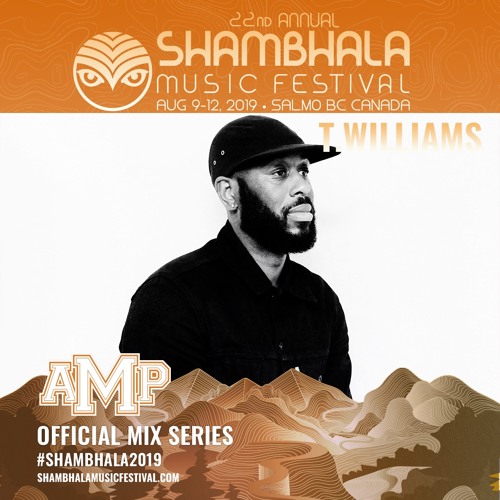 Stream Shambhala 2019 Mix Series - T.Williams by Tesfa Williams ...