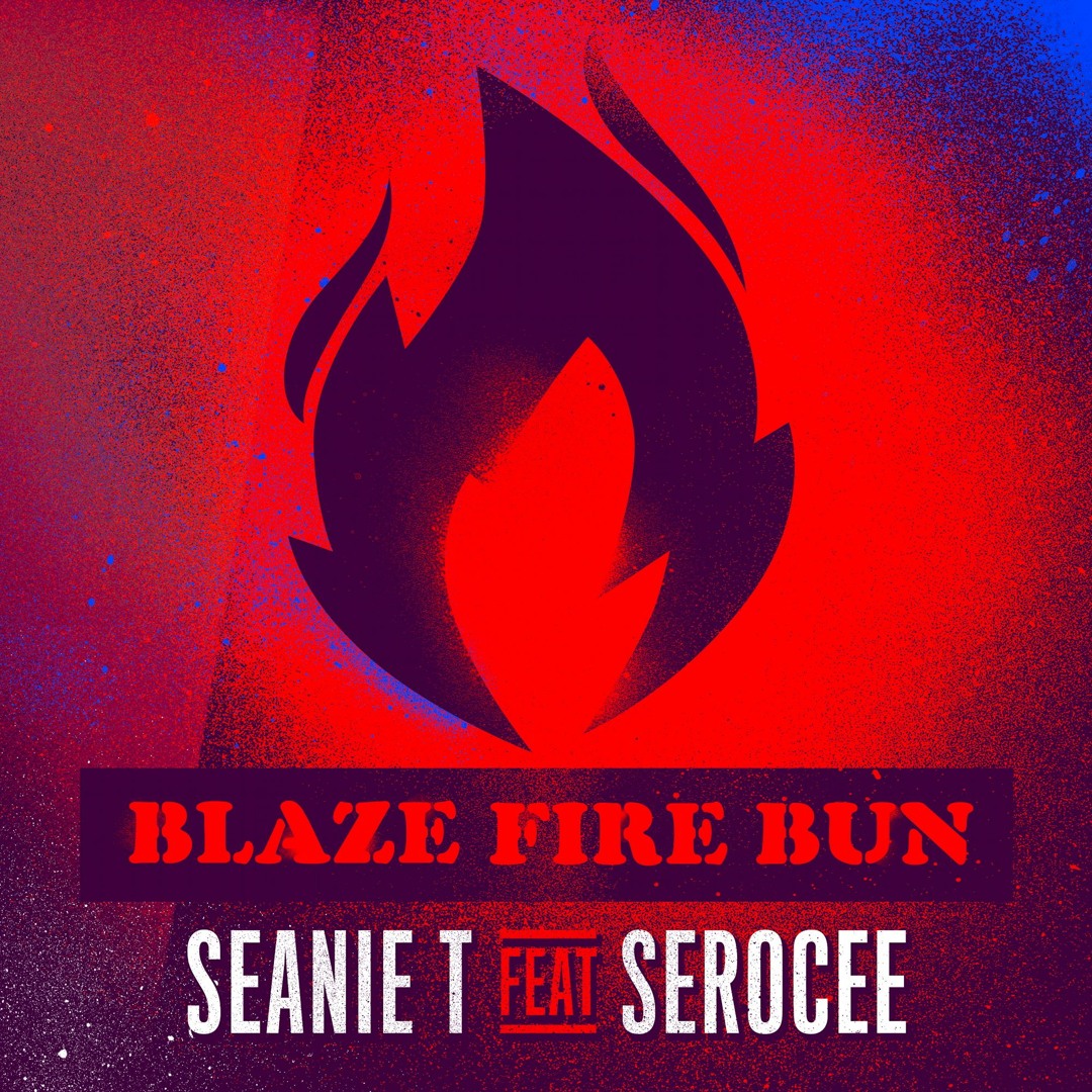 Stream Blaze Fire Bun - Seanie T ft Serocee by NICE UP! records ...
