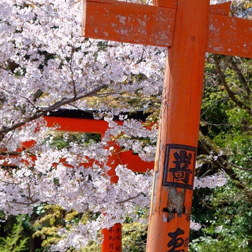 Stream episode JLPT🎧 N4 👉япон хэл 💁learn japanese📚#7 by Ano Altangoo ...