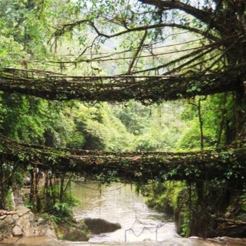 Stream Juurtest sild / Root Bridge (2016) by Liis Jürgens | Listen ...